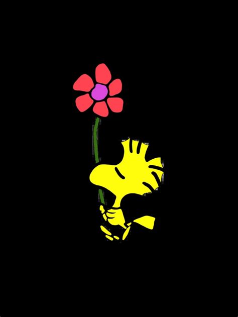 Woodstock Flowers Best Flower Site