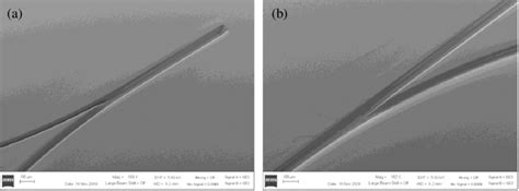 Uv Imprint Process To Fabricate The Polymeric Optical Bus Waveguide Download Scientific Diagram