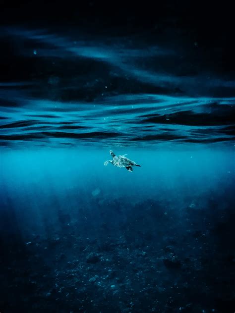 Installing Prometheus And Grafana Using Helm By Sudeep Bhandari Towards Kubernetes