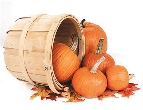 Pumpkin Bakset Overflow Prepared Food Photos Inc