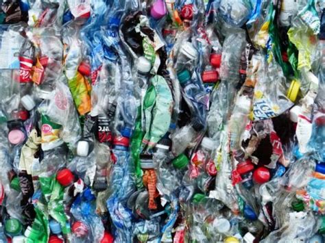 Cómo se Recicla el Plástico Proceso de Reciclado y Datos