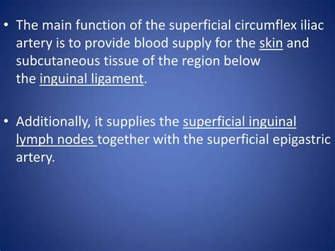Superficial Circumflex Iliac Artery Perforator Flap Pptx