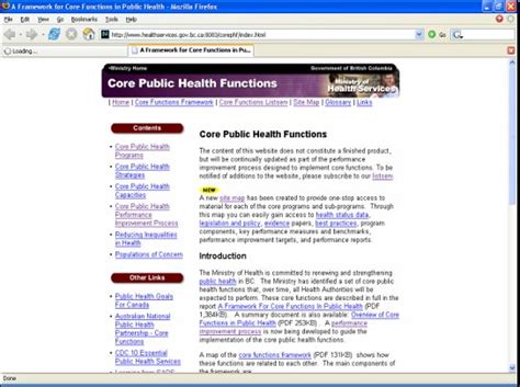 Public Health Core Functions Implementation Public Health Association