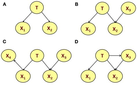 Examples Of Directed Acyclic Graph Dag All Nodes Are Random Download Scientific Diagram