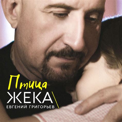 Птица Youtube Music
