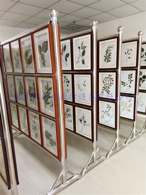 植物标本馆配套各类植物标本 植物浸泡标本 昆虫标本 新乡市禾力教学设备有限公司