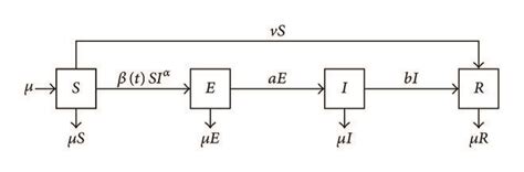 flowchart of the continuous time deterministic chickenpox model boxes