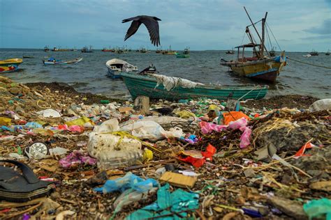 Documenting The Environmental Degradation Of Sri Lanka Groundviews