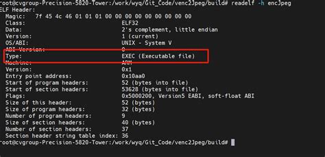 【已解决】可执行程序无法在linux上运行，显示 Line 1 Syntax Error Unexpected Word