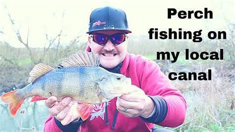 Perch Fishing On My Local Canal Its Awesome Youtube