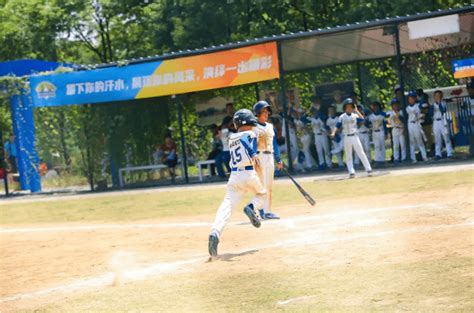 为梦想拼搏！平湖林埭小学这支棒球队勇夺省冠军手机浙江网