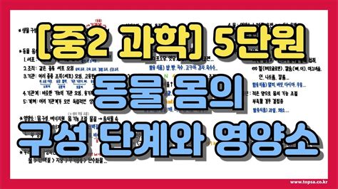 중2 과학 몸의 구성 단계와 영양소 Youtube