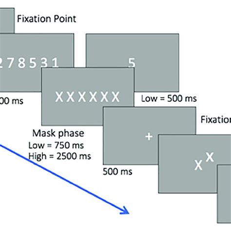Schematic Representation Of The Stimuli And Procedure Of Experiment 1
