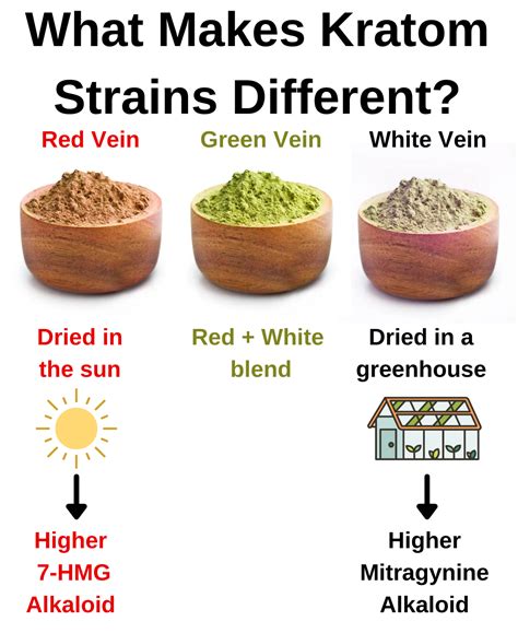 Kratom Strain Chart Kratom Colors Regions And Strains Explained