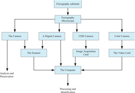 Schematic Diagram Of Image Extraction Process Download Scientific Diagram
