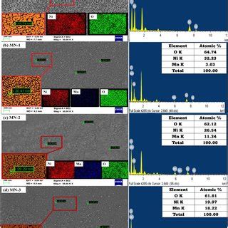 Scanning Electron Micrograph Elemental Composition And Mapping