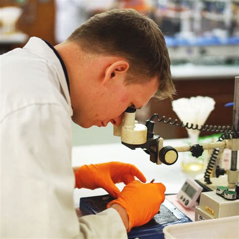 Malt Analysis Sheet Master Specification Tables Crisp Malt