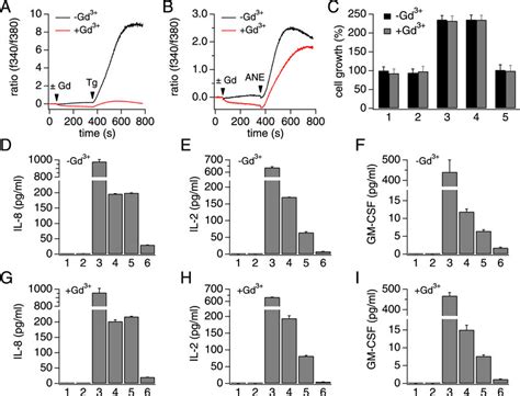Soce Role In Ane Induced Calcium Signal And T Cell Activation A A Download Scientific