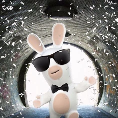 Pfp Rabbit Raving Rabbids Crazy Rabbit Foto Rabbit