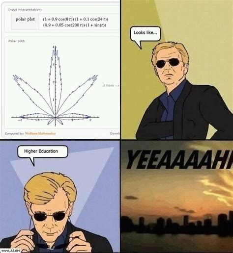 Csi Miami Meme Subido Por Krakenhunter49 Memedroid