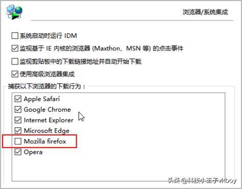 idm下载种子方法idm和迅雷哪个更快 拼客号