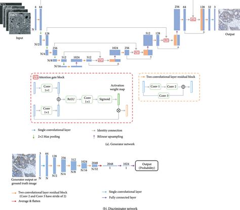 Virtual Her2 Staining Network A Gan Framework Which Consists Of A