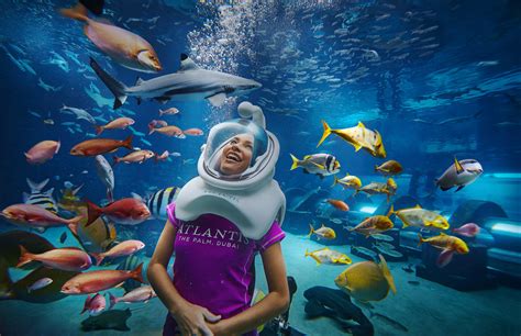 Atlantis The Palm Resort Crescent Rd Dubai Uae Shark Safari