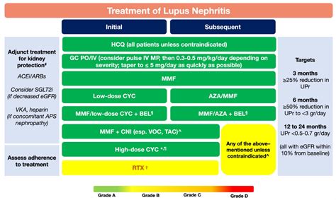 2023 Eular Recommendations For The Management Of Systemic Lupus Erythematosus Rheumatology Tt