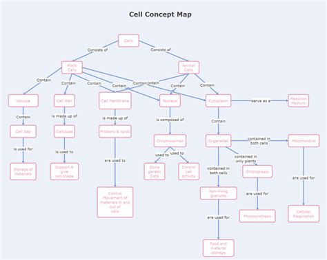 Cellular Respiration Concept Map Answer Key