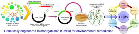 Genetically Engineered Microorganisms For Environmental Remediation A