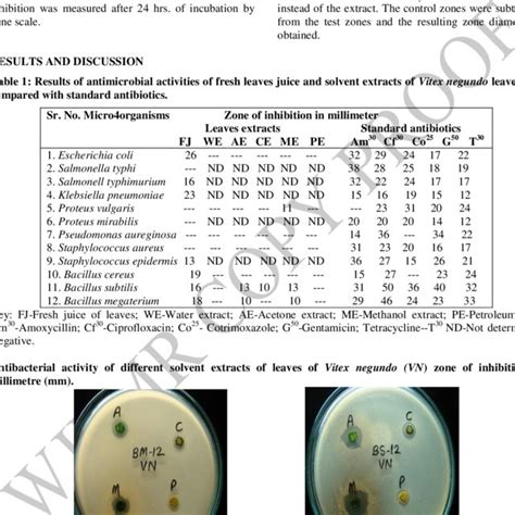 Activity Against Bacillus Megaterium Activity Against Bacillus Subtilis
