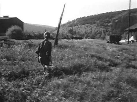 Film Post Apocalittici Horror E Di Fantascienza Maximum Film