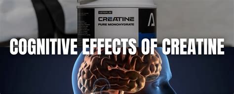 Cognitive Effects Of Creatine Astroflav