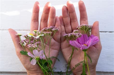 Fleurs Sauvages Dans Les Mains Ouvertes De La Femme Photo Premium
