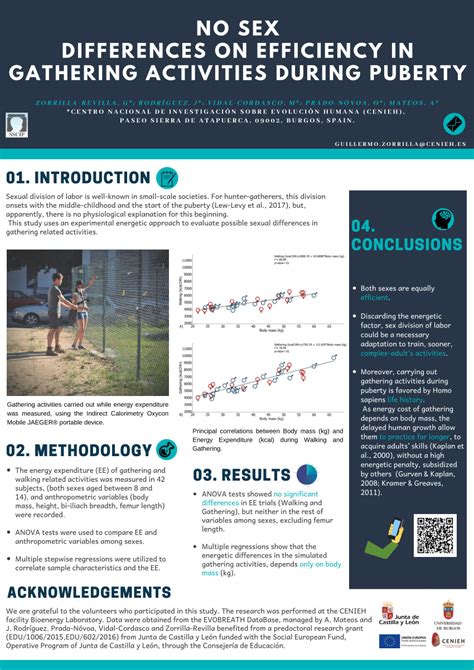 Pdf No Sex Differences On Efficiency In Gathering Activities During Puberty