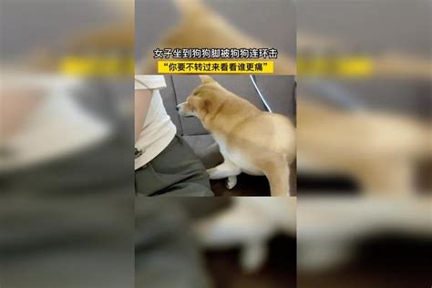 狗你猜我为什么不用左脚打你 左脚
