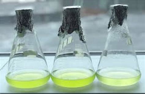 Photographic View Of Algae Biodiesel Download Scientific Diagram