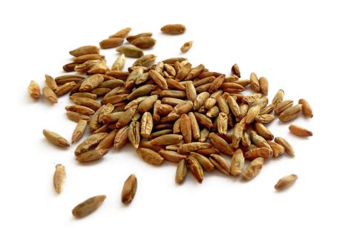 Rye Profile Agricultural Marketing Resource Center