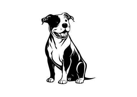 Pitbull Svg Pitbull Clipart Pitbull Svg Files For Cricut Pitbull