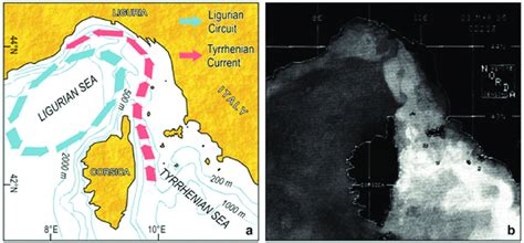 Surface Circulation In The Ligurian Sea A Scheme Of The Main Current Download Scientific