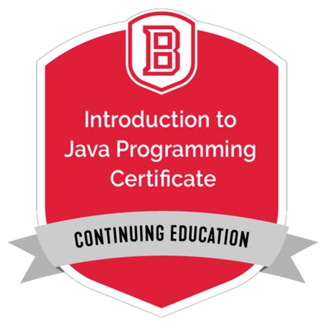 Introduction To Java Programming Certificate Credly