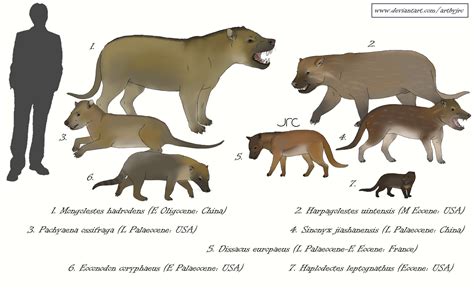 Mesonychid Evolution