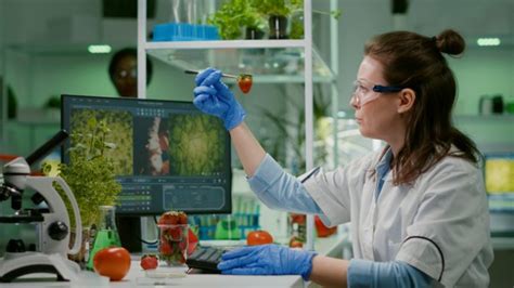 Tecnologías alimentarias innovaciones que formarán al Foodtech