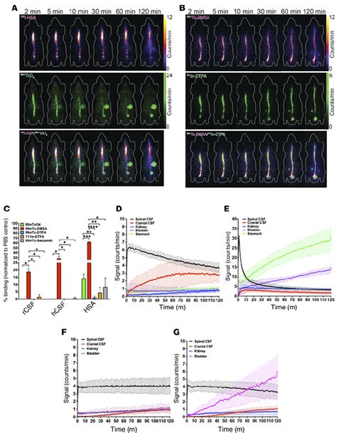Molecular Weight And Protein Binding Affinity Affect Both The Download Scientific Diagram