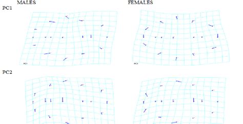 First Principal Component Pc1 And Second Principal Component Pc2 Of Download Scientific
