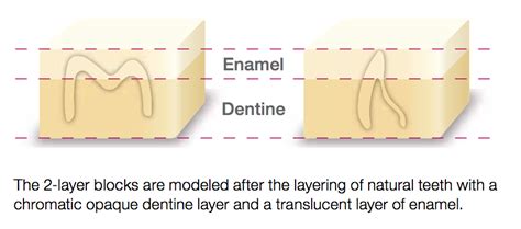 Shofu Block Hc And Disk Hc Nile Dental