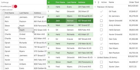 Maui UI Controls Powerful Maui UI Datagrid Control ComponentOne