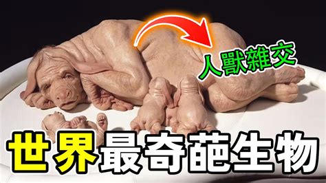 世界最奇葩的10種雜交生物，原來人獸雜交真的存在，第一名連科學家都害怕，至今不敢公佈 奇文 世界之大 科普知識 世界之最 Youtube