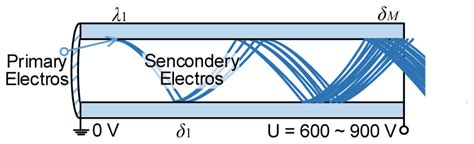 Electron Multiplication Of Mcp Download Scientific Diagram