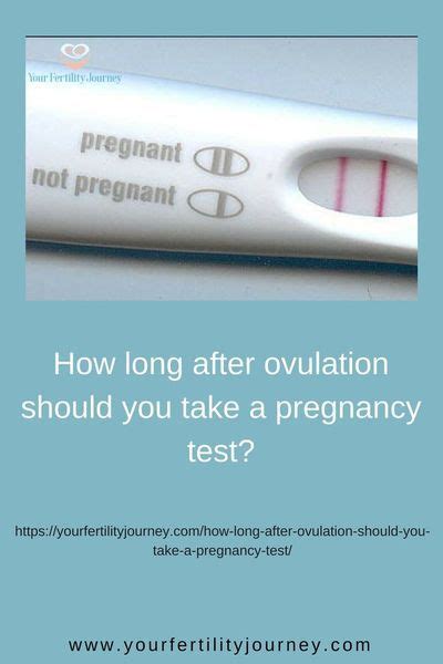 How Long After Ovulation Should You Take A Pregnancy Test Artofit